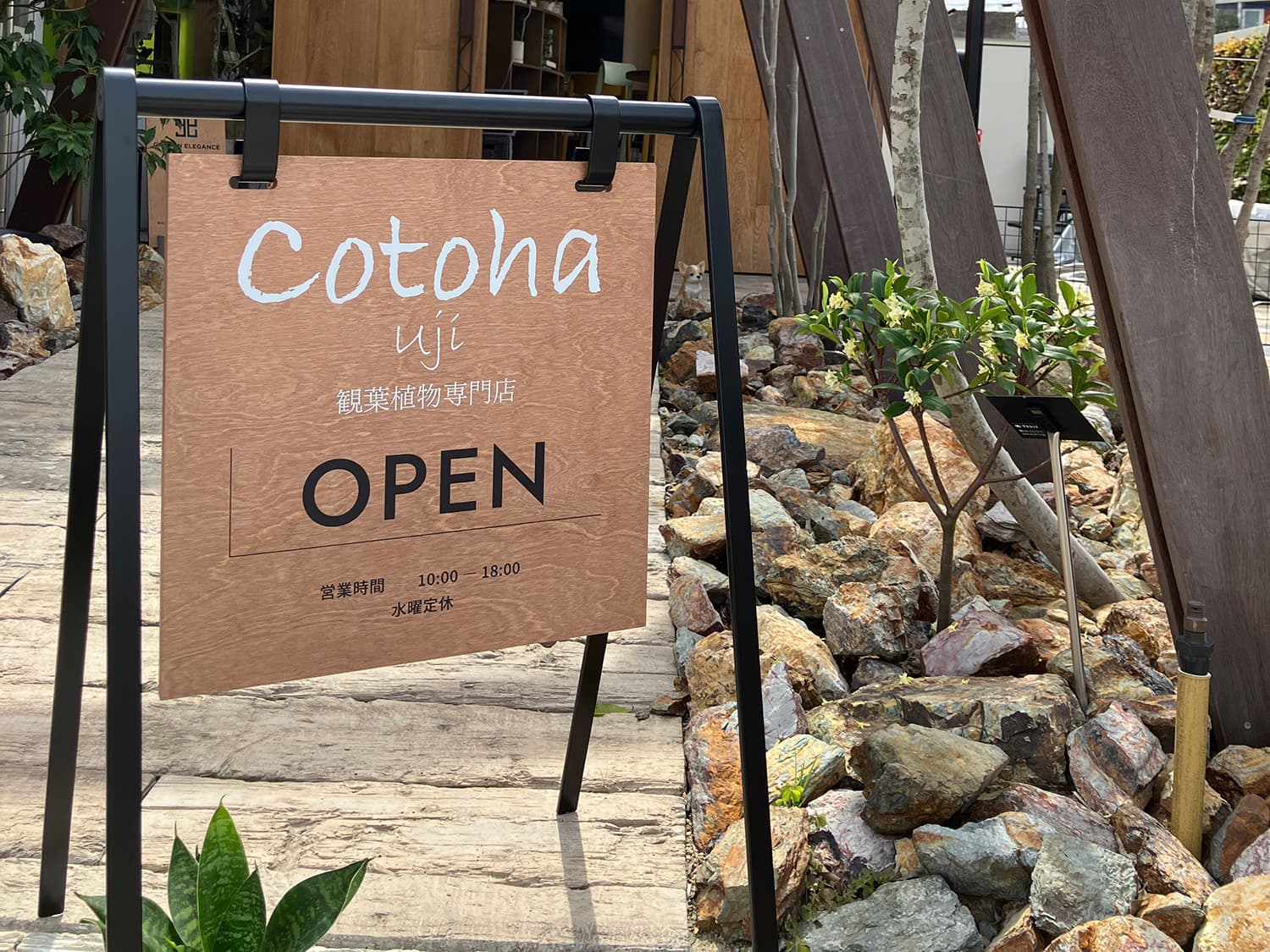 観葉植物専門店【cotoha uji】 京都府宇治市、京都市、滋賀県のエクステリア・外構工事・お庭のリフォームならガーデンエレガンス